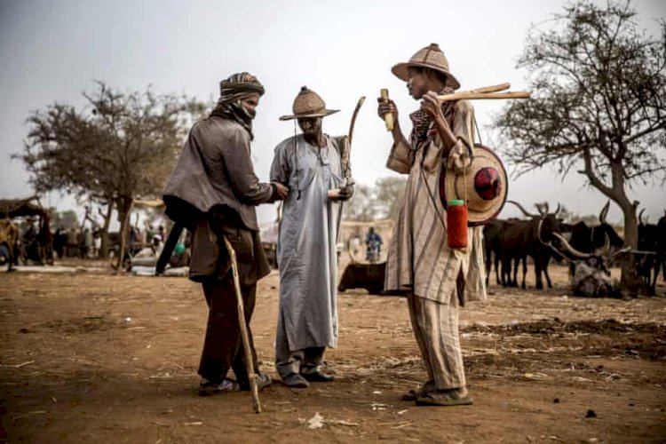 THE PLIGHT OF FULANIS IN THE SOUTH WEST AND HOW IT ALL STARTED - Fulani ...